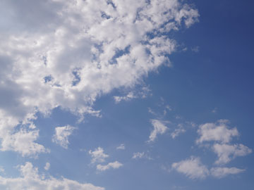 24/7/3 Behrang Poorganjiさん来所